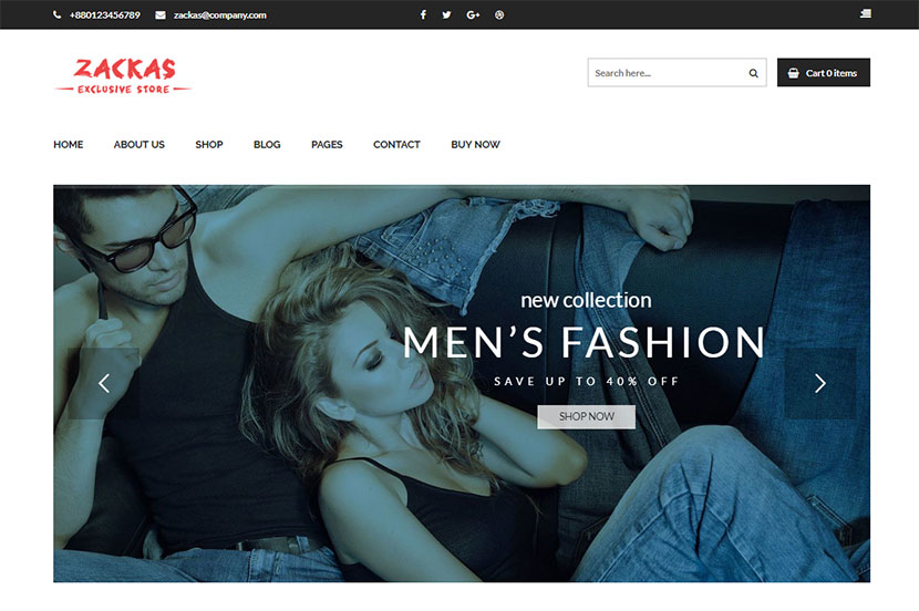 Online Store WordPress Themes a Collection for eCommerce - WP Daddy