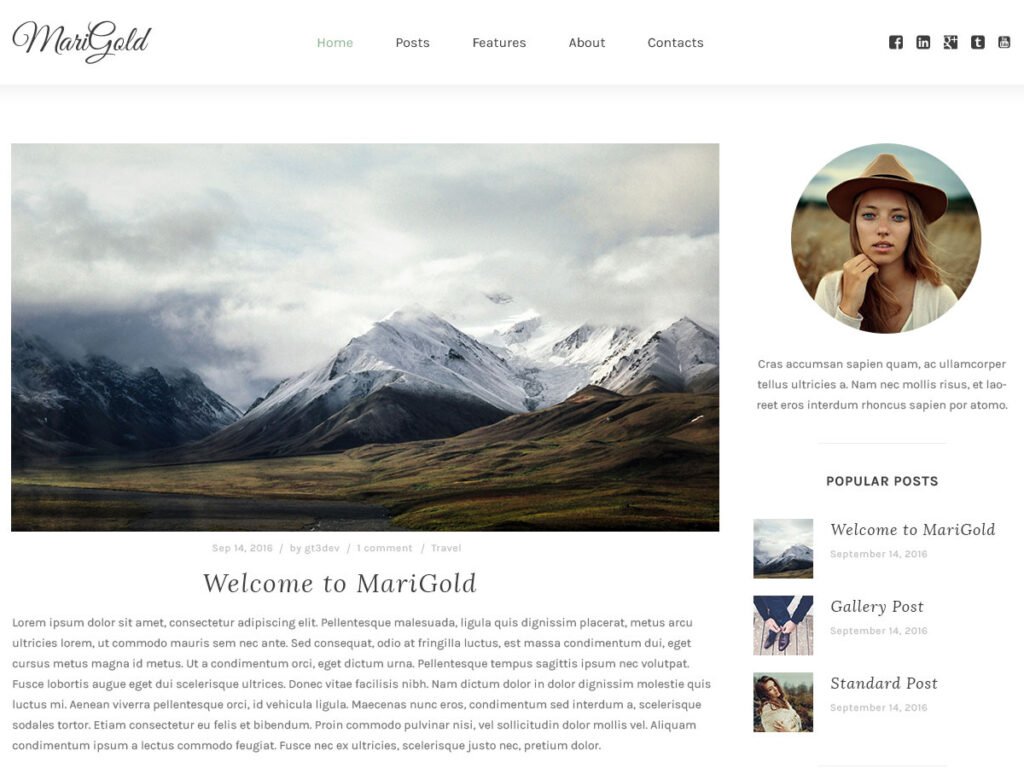 MariGold - A Responsive Free WordPress Blog Theme - WP Daddy
