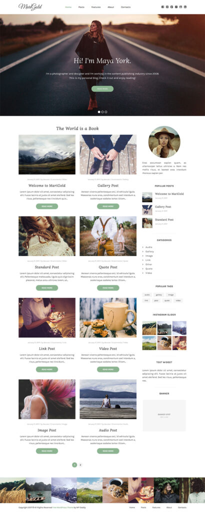 MariGold - A Responsive Free WordPress Blog Theme - WP Daddy