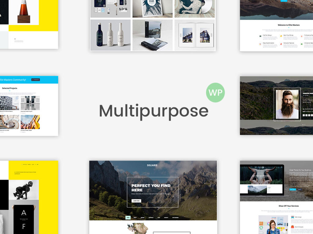 Multi-Concept and Multipurpose WordPress Themes - Top 15 - WP Daddy