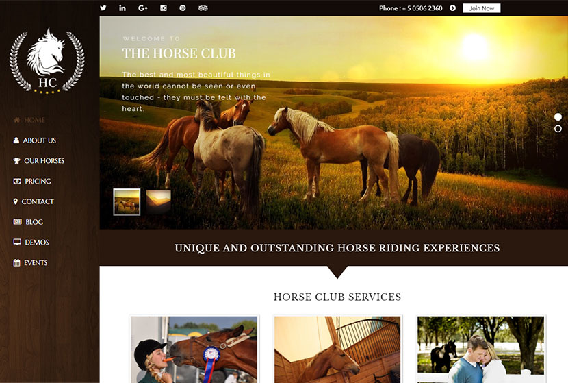 Equestrian Sports and Horse Riding WordPress Themes - WPDaddy