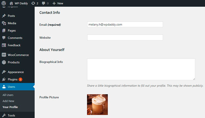 How To Change The Admin Email In WordPress WP Daddy