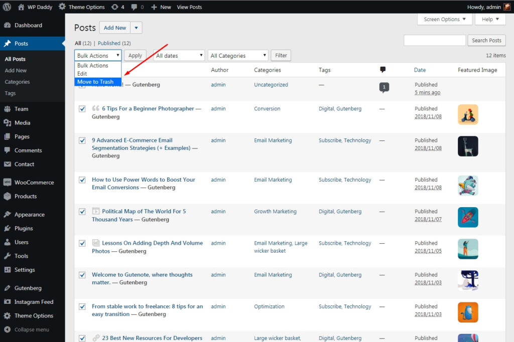 How to Bulk Delete WordPress Posts (2 Ways) - WP Daddy