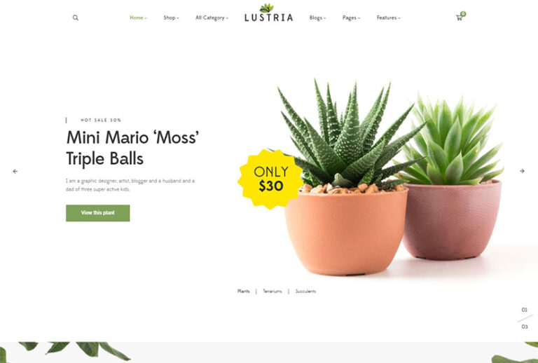 20+ Multipurpose WordPress Themes - WP Daddy